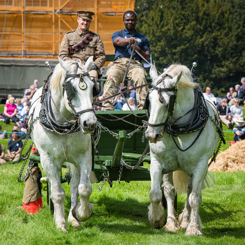 Who We Are – Royal Logistic Corps Horse-Drawn Heritage