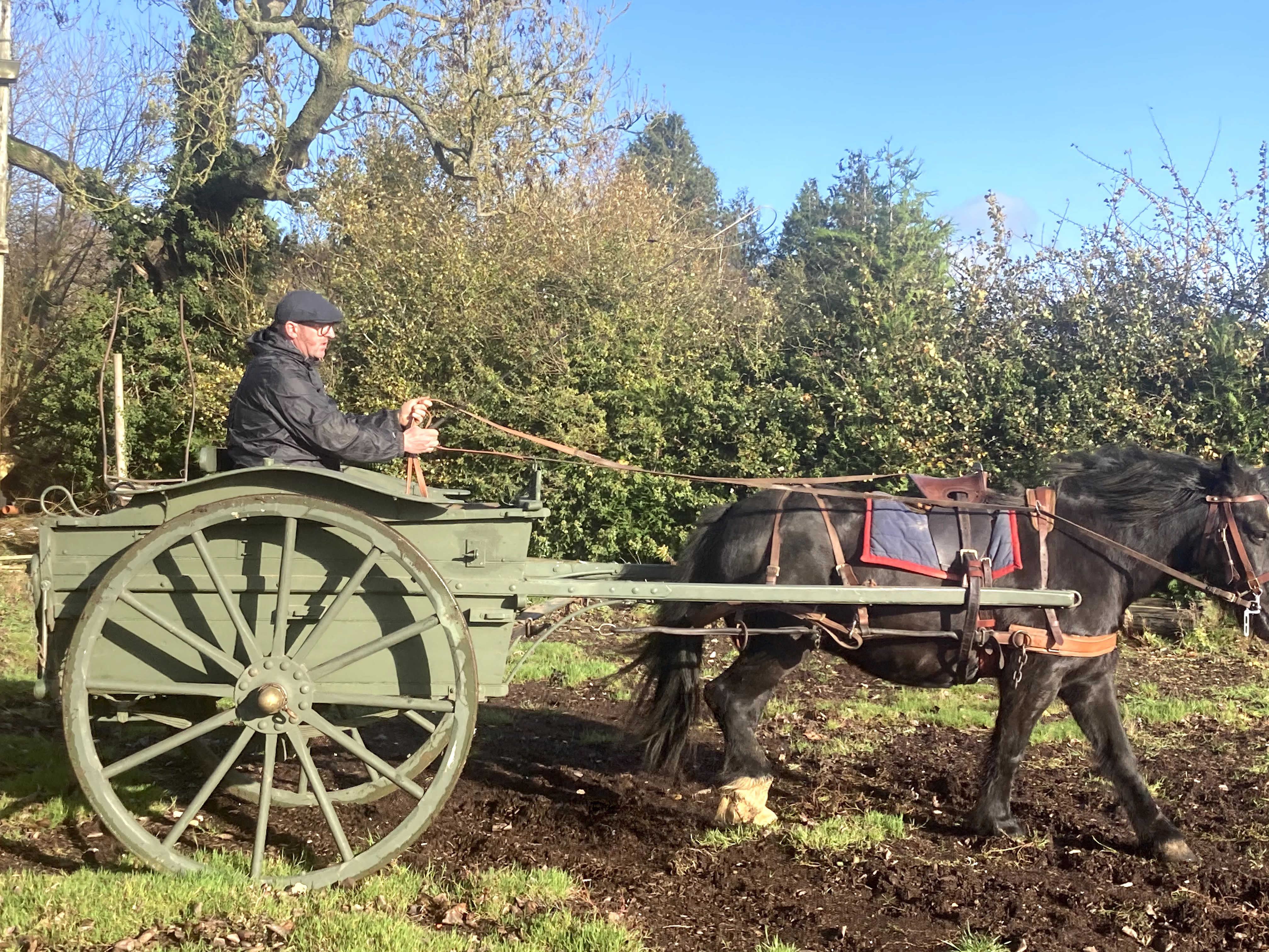 Vehicles in the Collection – Royal Logistic Corps Horse-Drawn Heritage
